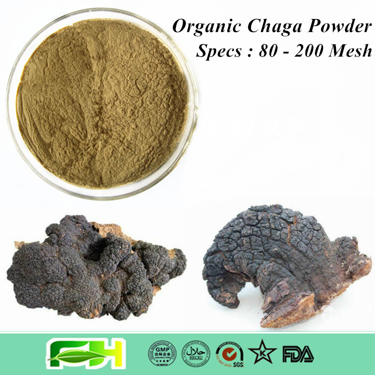 NOP & EOS Certified Organic Inonotus Obliquus Powder , Chaga Mushroom ... NOP & EOS Certified Organic Inonotus Obliquus Powder , Chaga Mushroom ...